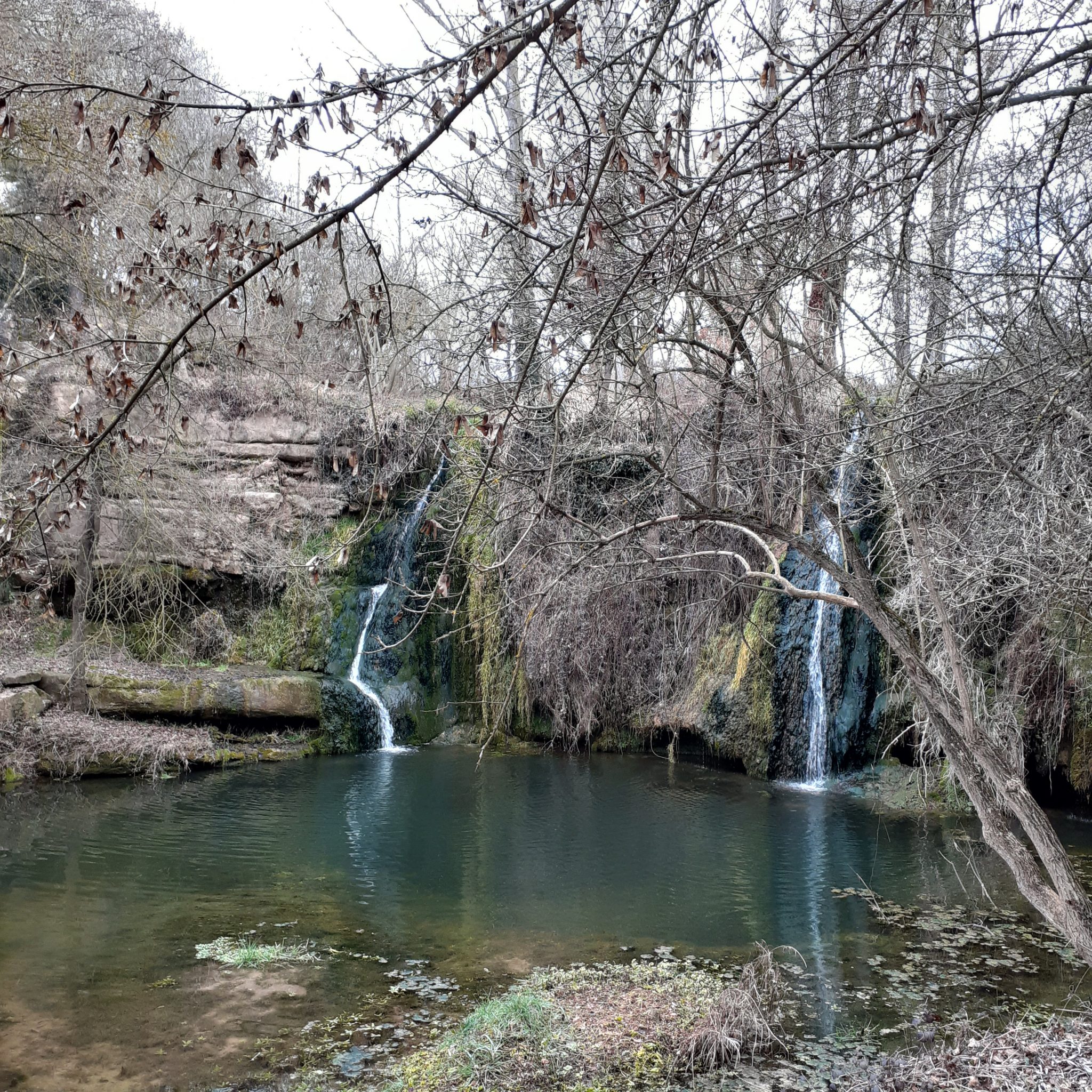 Rosa Colomer – Passejada per Prats de Lluçanès – SENdÈRIA